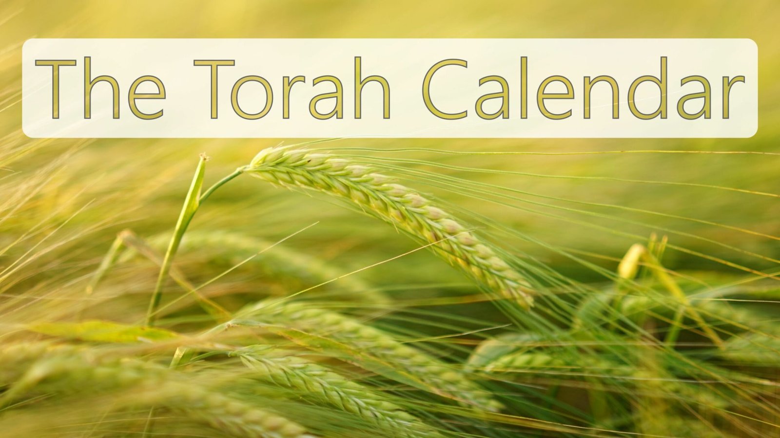 Books | Nazarene Israel